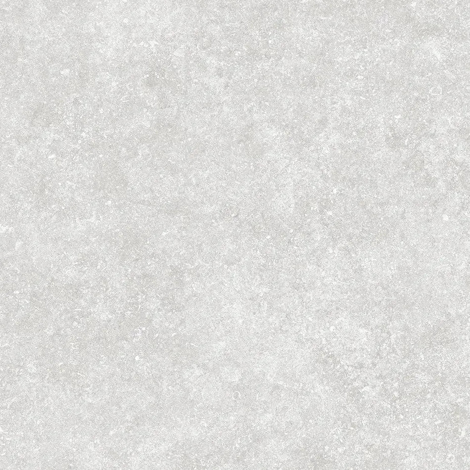 Bluestone Coin Porcelain Paving Tiles 600x600